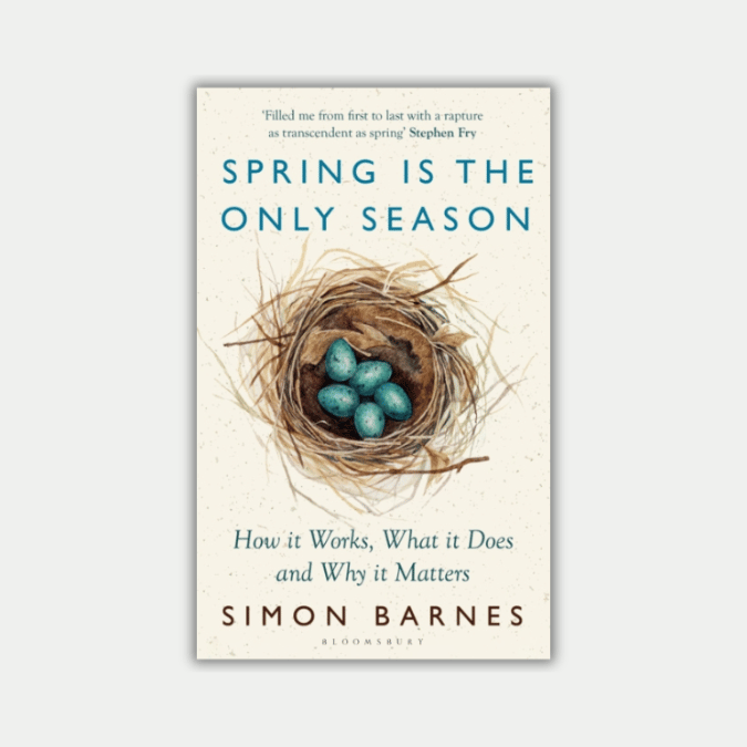Spring Is The Only Season How It Works What It Does And Why It