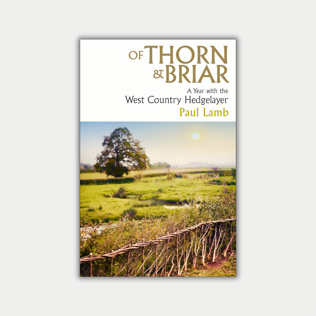 Of Thorn and Briar by Paul Lamb (unsigned edition) | FOLDE Dorset