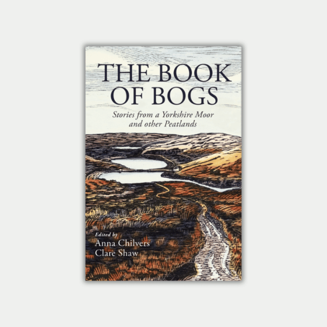 anna chilvers author