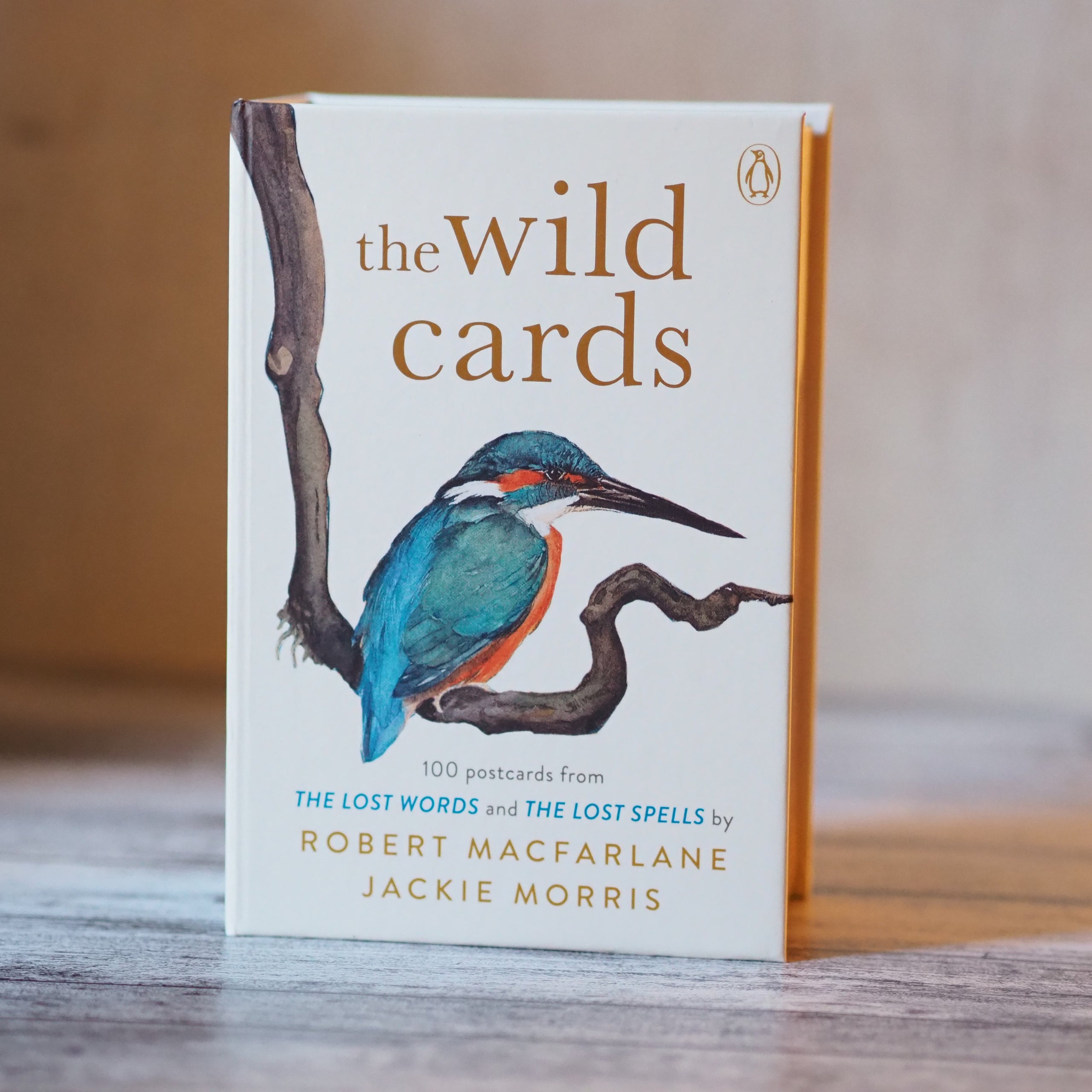 The Wild Cards | FOLDE Dorset