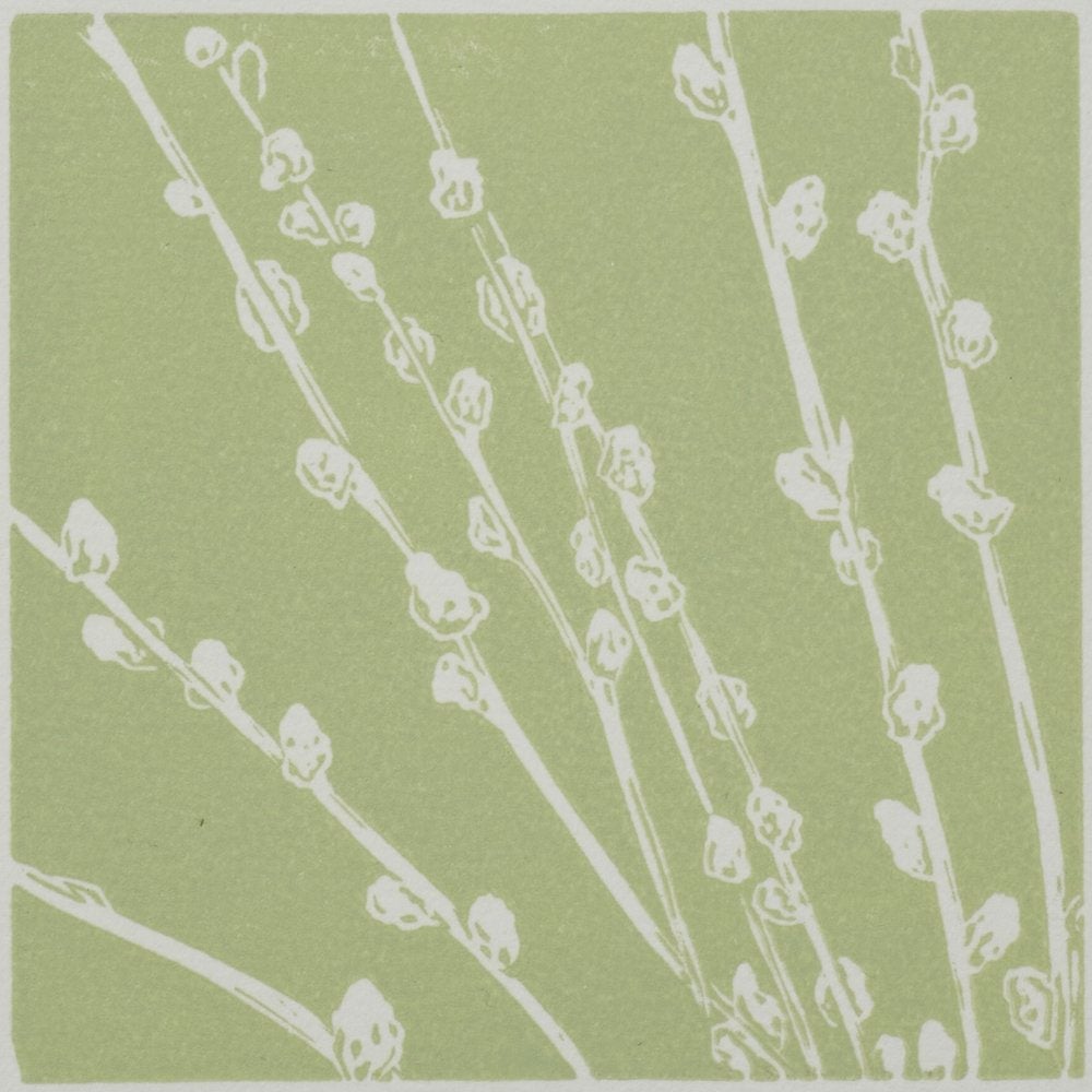 Caroline Buckman: Pussy Willow limited edition linoprint | FOLDE Dorset