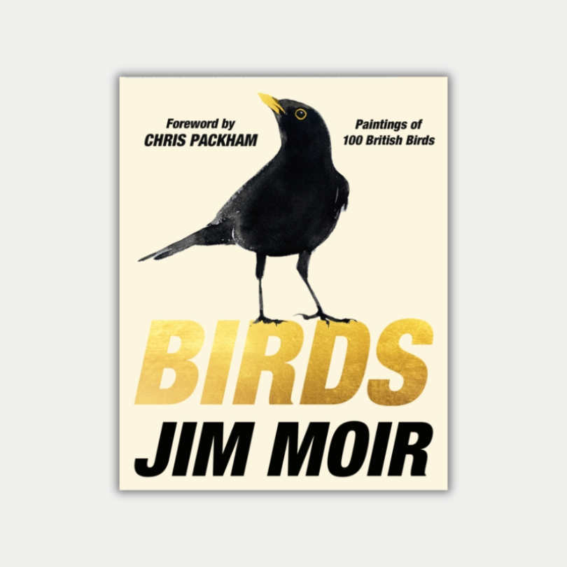 Birds : Paintings of 100 British Birds by Jim Moir | FOLDE Dorset