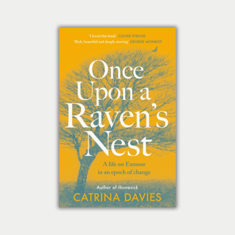 Once Upon A Raven's Nest by Catrina Davies | FOLDE Dorset Once Upon A Raven's Nest by Catrina Davies | FOLDE Dorset