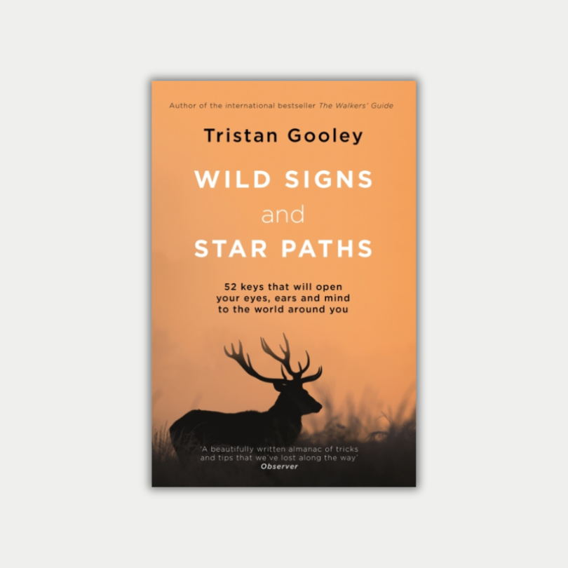 Wild Signs and Star Paths : 52 keys that will open your eyes, ears and ...