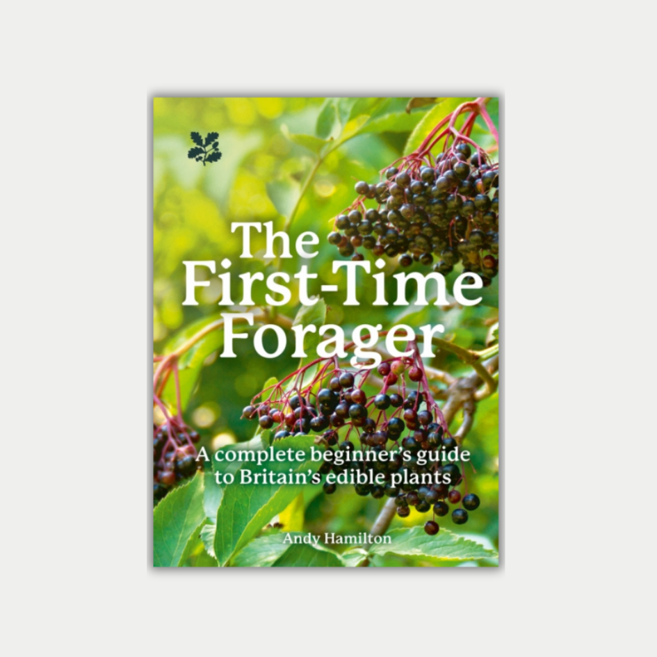 The First-Time Forager by Andy Hamilton: A Complete Beginner’s Guide to ... The First-Time Forager by Andy Hamilton: A Complete Beginner’s Guide to ...