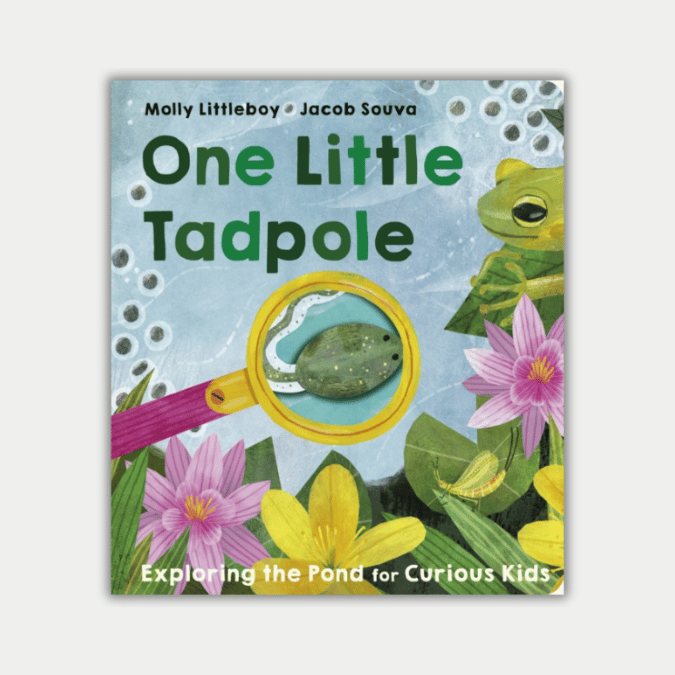 One Little Tadpole by Molly Littleboy | FOLDE Dorset