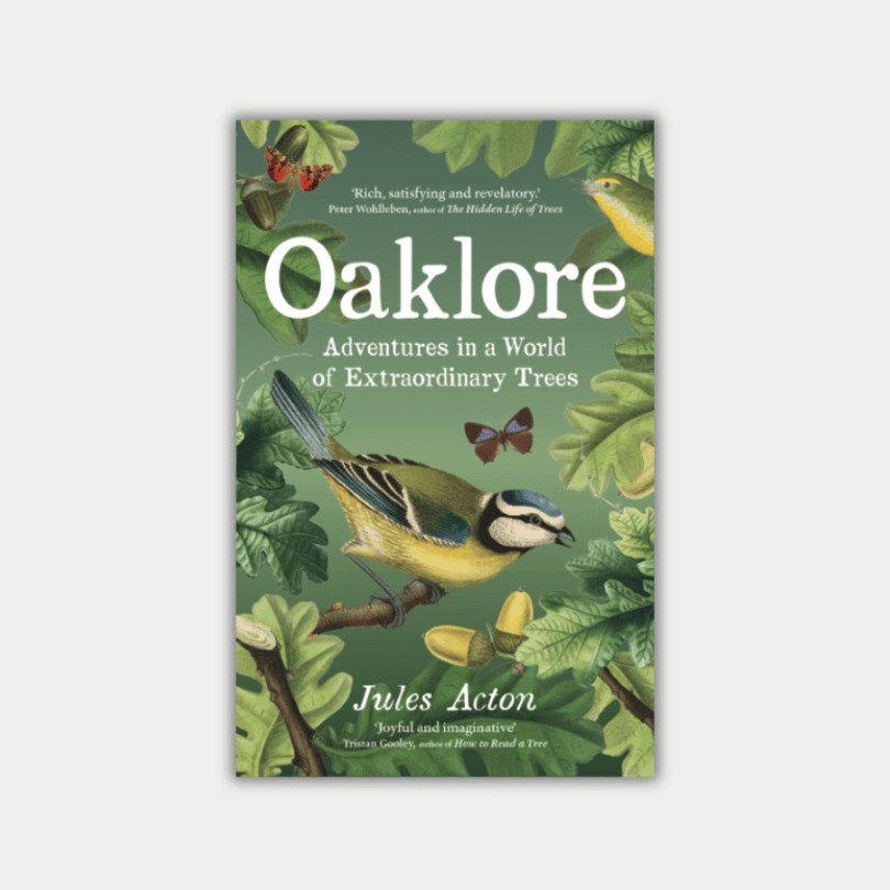 Oaklore by Jules Acton | FOLDE Dorset