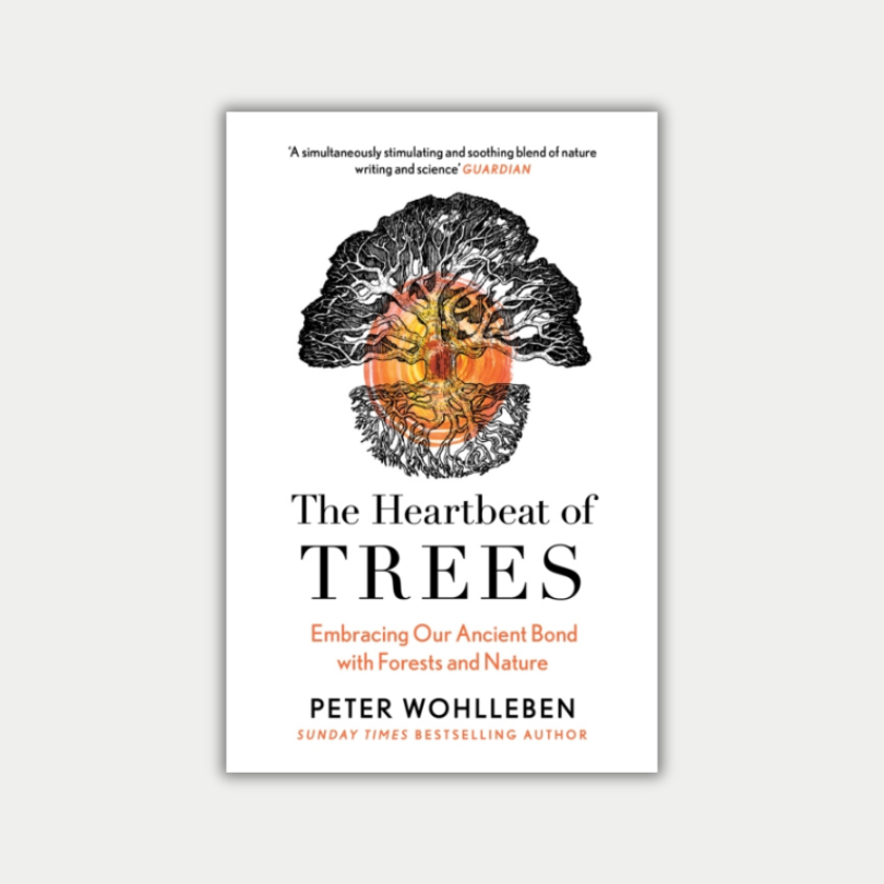 The Heartbeat of Trees by Peter Wohlleben | FOLDE Dorset